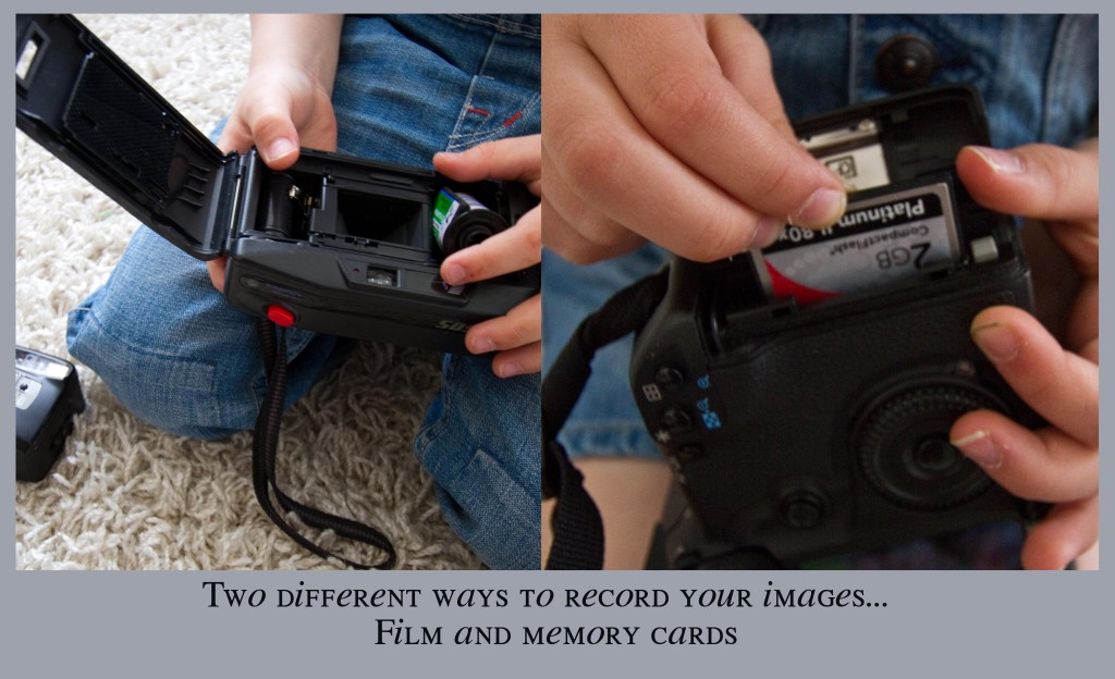 Camera 101 For Preschoolers… | Small Potatoes