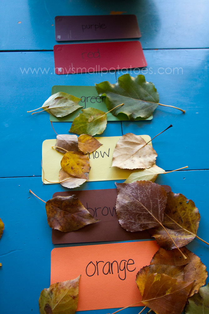 Weekly Kid’s Co-op…The Great Leaf “Hunt and Sort” Adventure! | Small ...