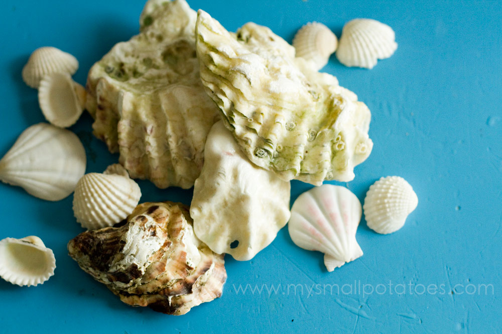 Mermaid’s Lagoon… | Small Potatoes