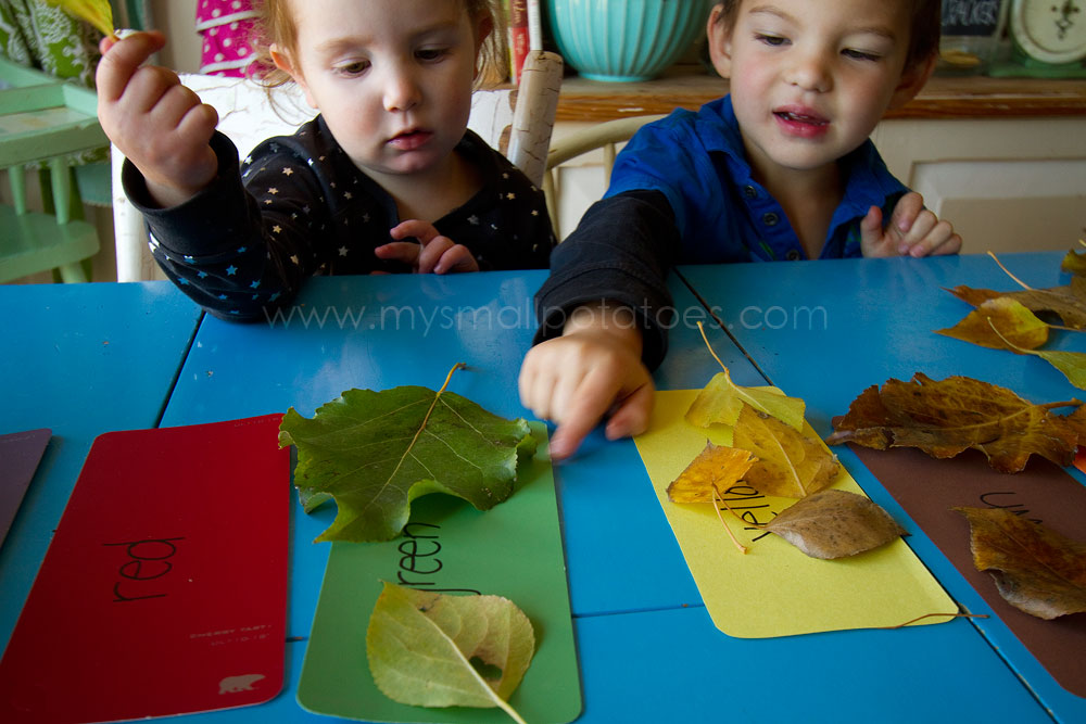 Weekly Kid’s Co-op…The Great Leaf “Hunt and Sort” Adventure! | Small ...