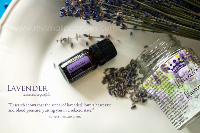 Because You Can’t Have a Bath at Daycare…A Calming Lavender Water Play ...