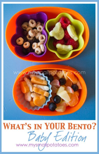 What’s In YOUR Bento? | Small Potatoes