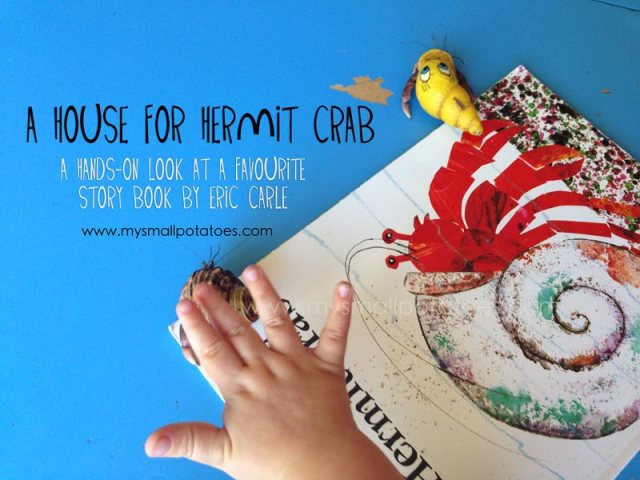 Hermit Crab House Hermit Crabs | Weird N' Wild Creatures Wiki | Fandom